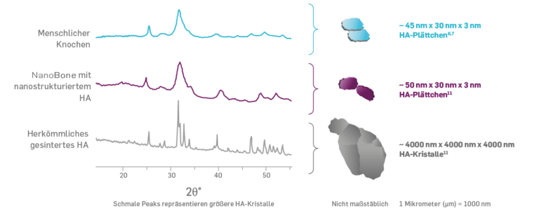 NanoBone® - Biocomposites