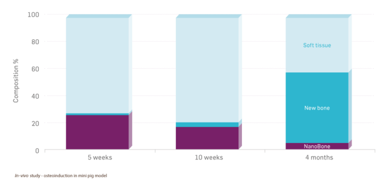 NanoBone® Synthetic Bone Graft Substitute | Biocomposites