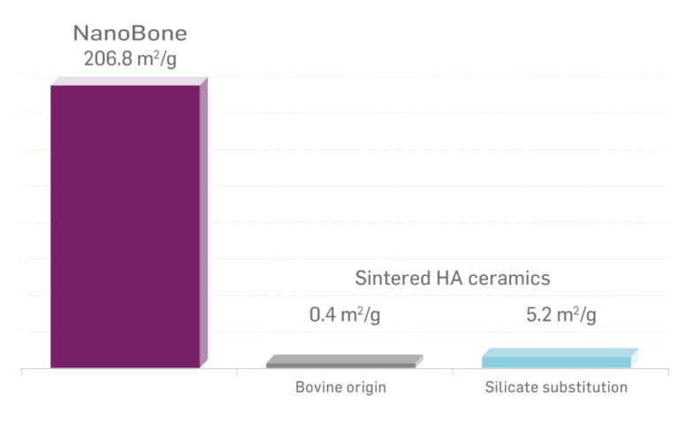 NanoBone® Synthetic Bone Graft Substitute | Biocomposites